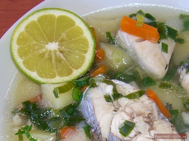Ucha - zwei Rezepte des russischen Fischgerichts – RusslandJournal.de